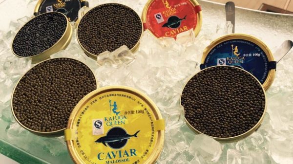 Taste the Luxury: Chinese Caviar's Rise to Global Fame - The Present World