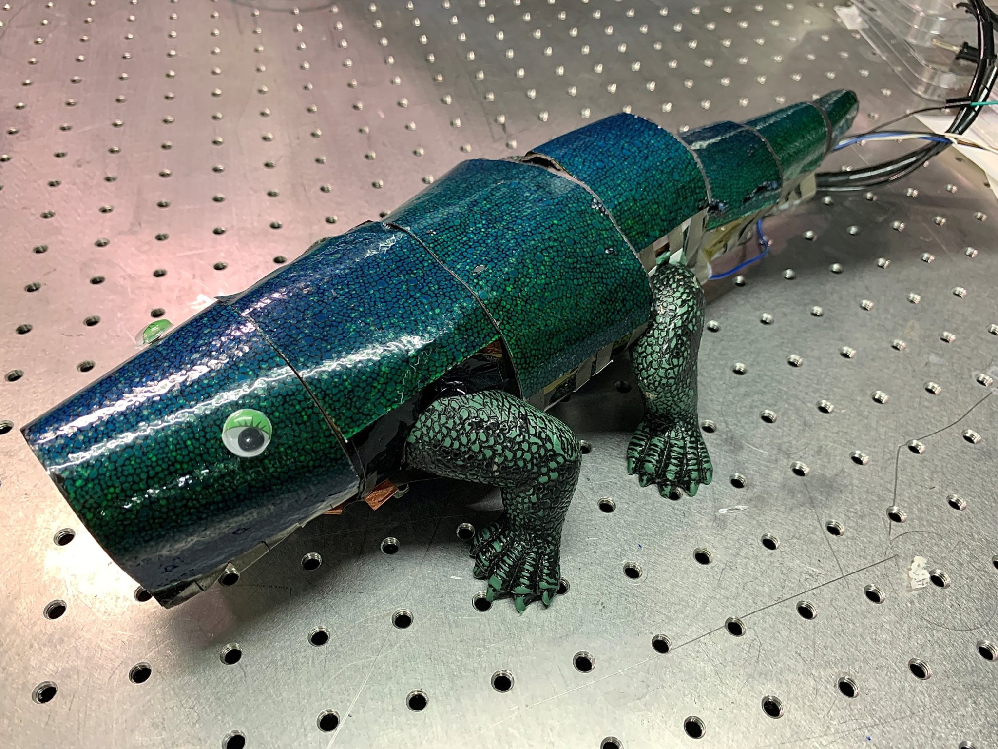 China's Chameleon-Like Material Achieves ‘Invisibility’ with ...